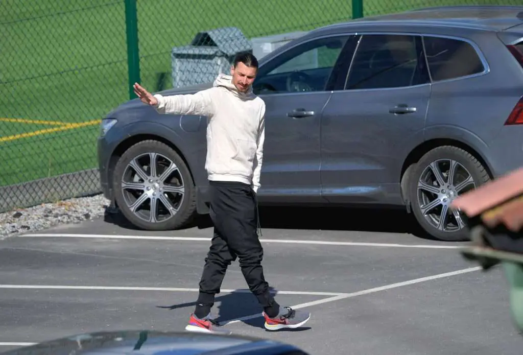 Zlatan Ibrahimović returns to training in Sweden - Get Italian Football ...